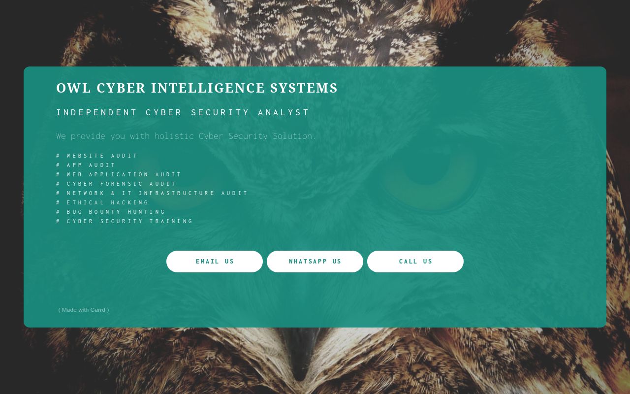Owl Cyber Intelligence system